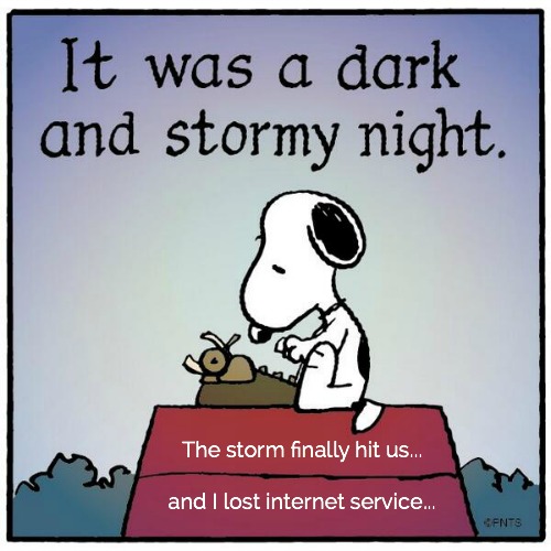 I'm o.k. - the storm hit us! - Simple Stampin